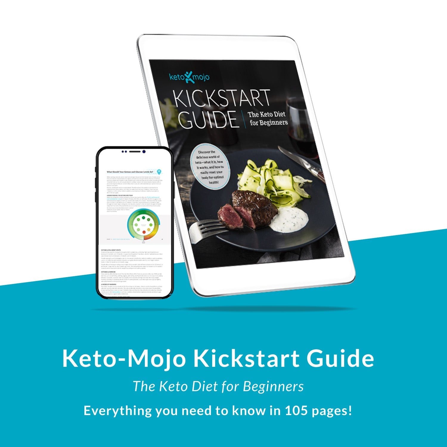 GKI-Bluetooth Blood Glucose & Ketone Meter Promo Kit (mmol) – Keto-Mojo UK